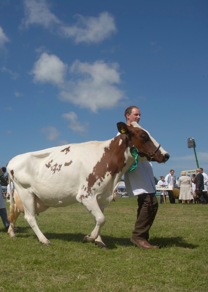 What's on in Cornwall this June - The Greenbank Hotel, Falmouth